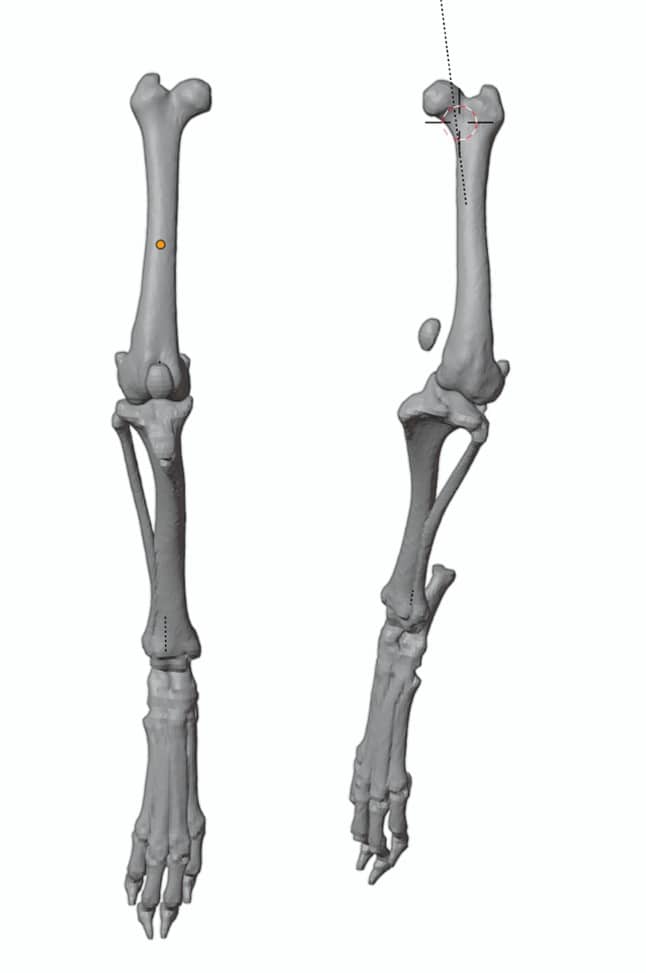 Orthopaedics for APs (Advance25) Q2 CPD Solutions Course Information