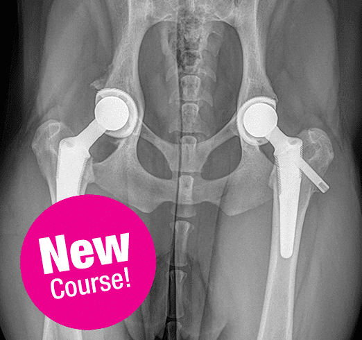 Orthopaedics for APs (Advance25) CPD Solutions Course Information