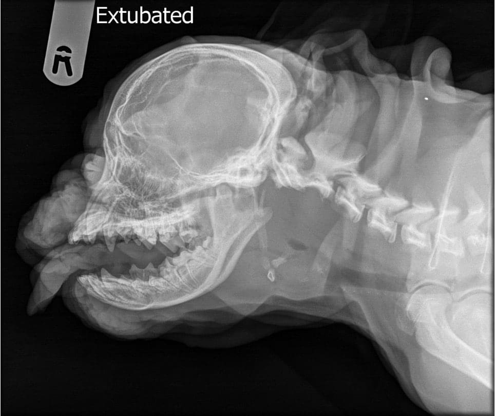 BOAS Q3 CPD Solutions Course Information