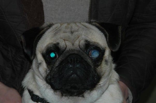 Ophthalmology A25 Q2 CPD Solutions Course Information