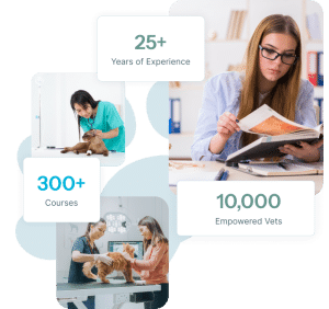 Veterinary CPD | CPD Solutions